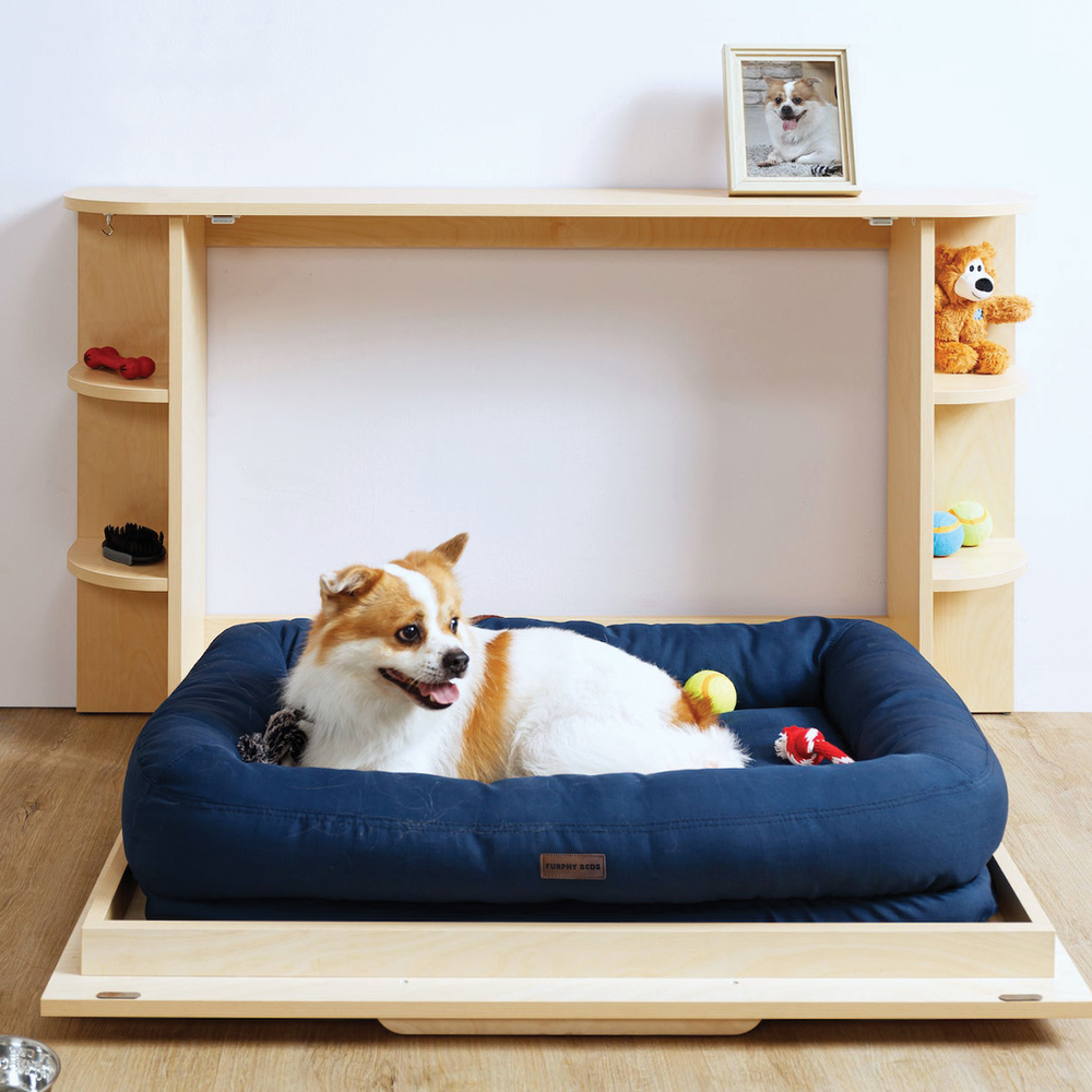 The Furphy Bed - The First Murphy Bed for Dogs